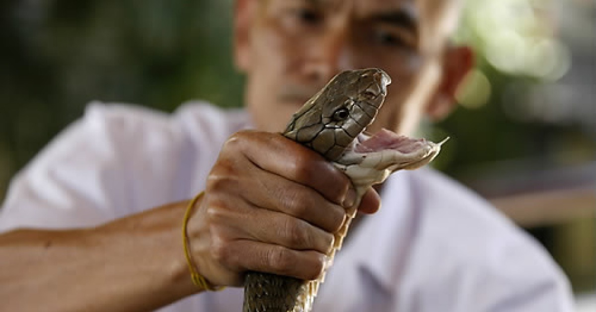 epaselect THAILAND SNAKE FARM
