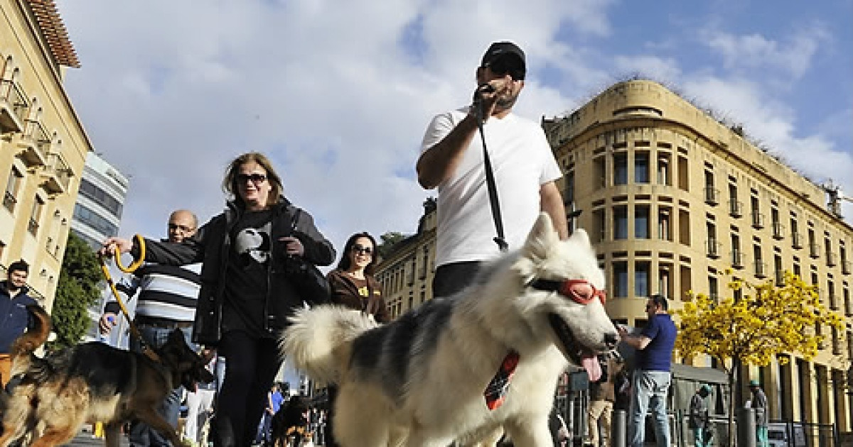 LEBANON ANIMAL WELFARE