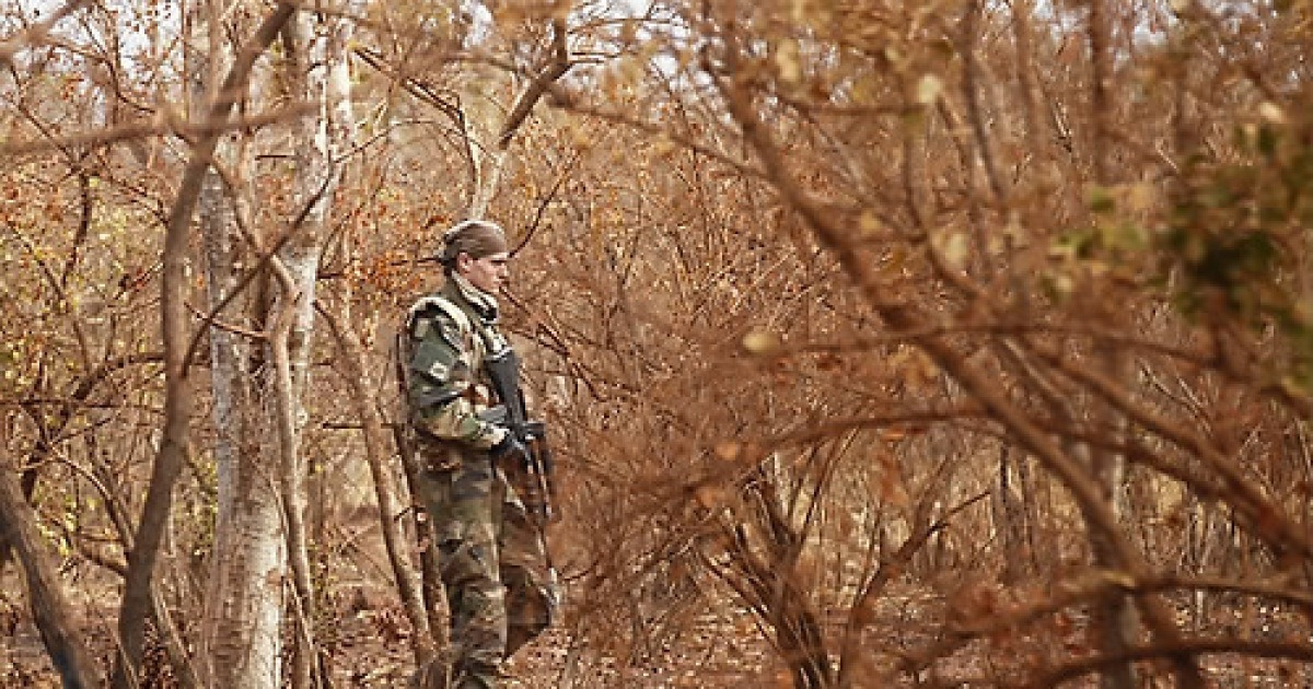 FILE MALI DUTCH HOSTAGE FREED