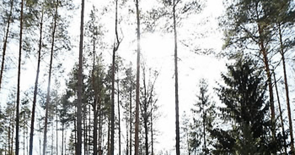 RUSSIA KATYN 75 ANNIVERSARY OF KATYN MASSACRE