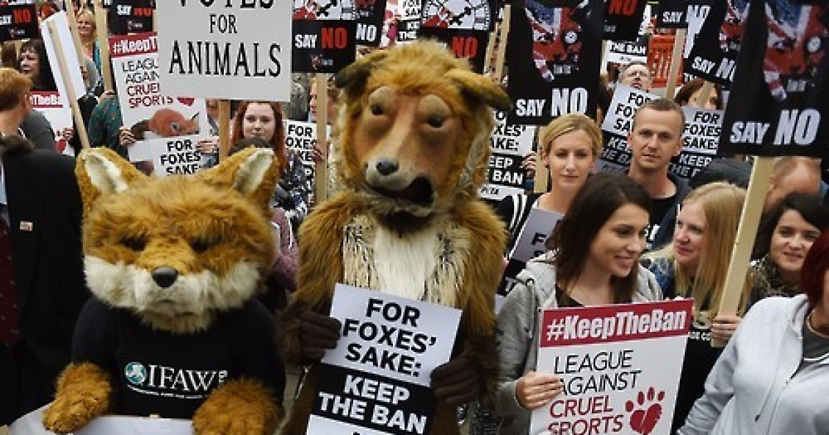 BRITAIN FOX HUNTING BAN PROTEST