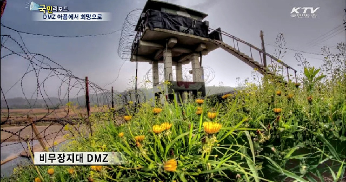 광복 70년, 분단의 상징 DMZ 재조명