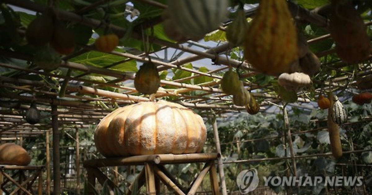 CHINA FEATURE PACKAGE FARM TOURISM