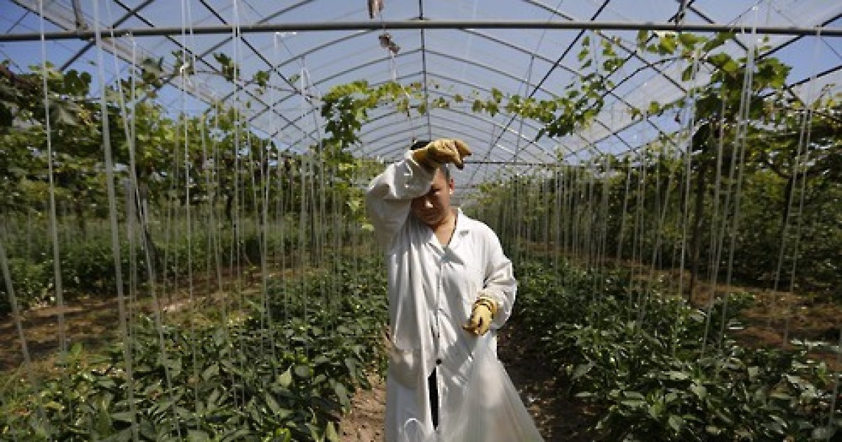 CHINA FEATURE PACKAGE FARM TOURISM