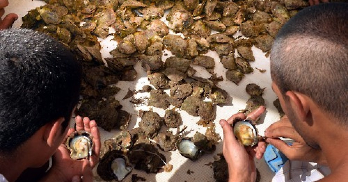 KUWAIT PEARL DIVING