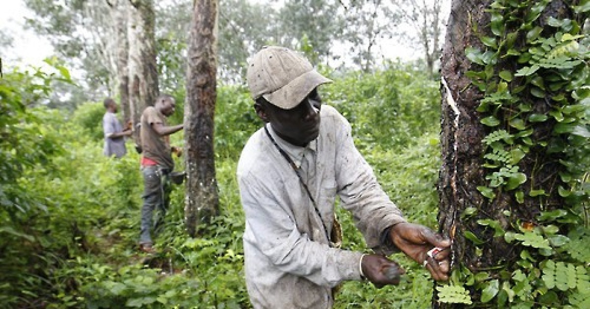 LIBERIA AGRICULTURE
