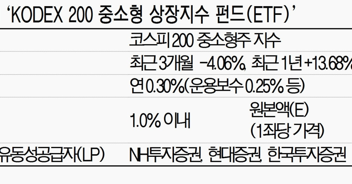 KODEX 200 중소형 ETF 9월 1일 상장