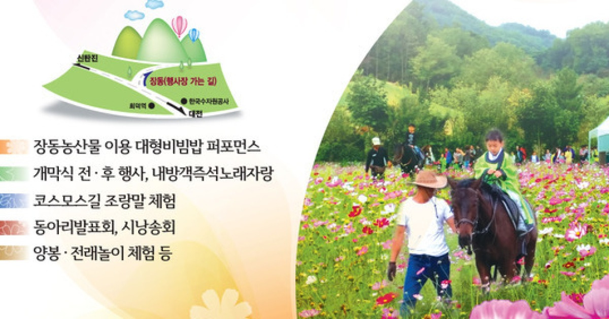 대전 장동계족산 코스모스 축제 내달 4~11일 개최