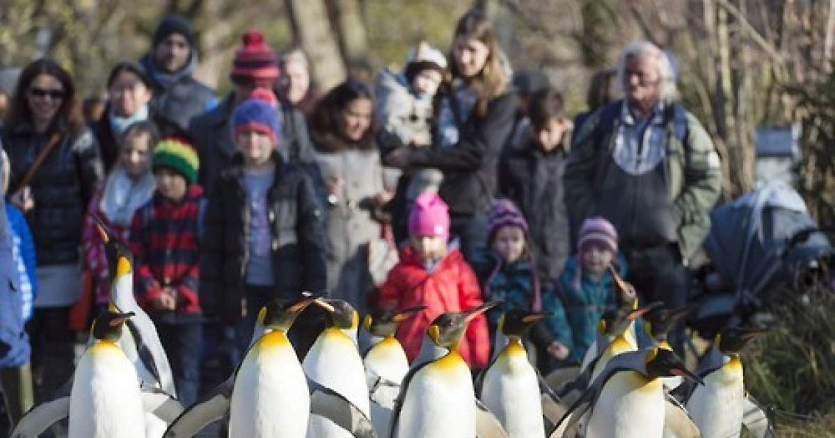 SWITZERLAND ANIMALS ZOO BASEL