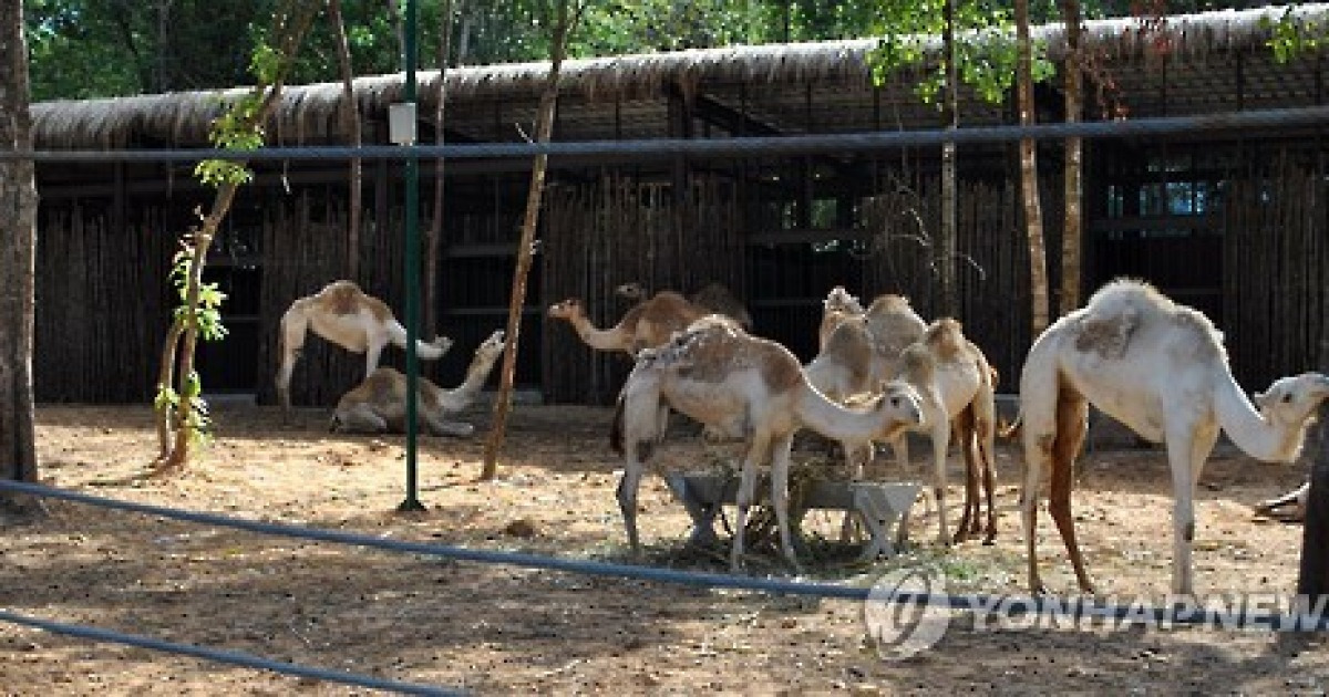 Vietnamâ€™s first wildlife park launched in Phu Quoc