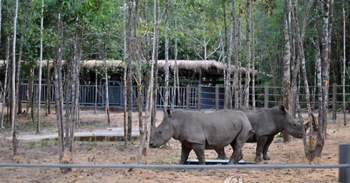 Vietnamâ€™s first wildlife park launched in Phu Quoc