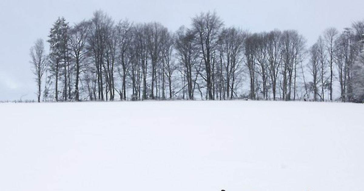 BELGIUM WEATHER SNOW