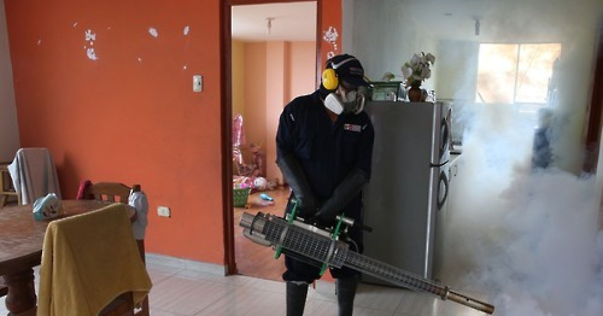 Peru Zika Virus