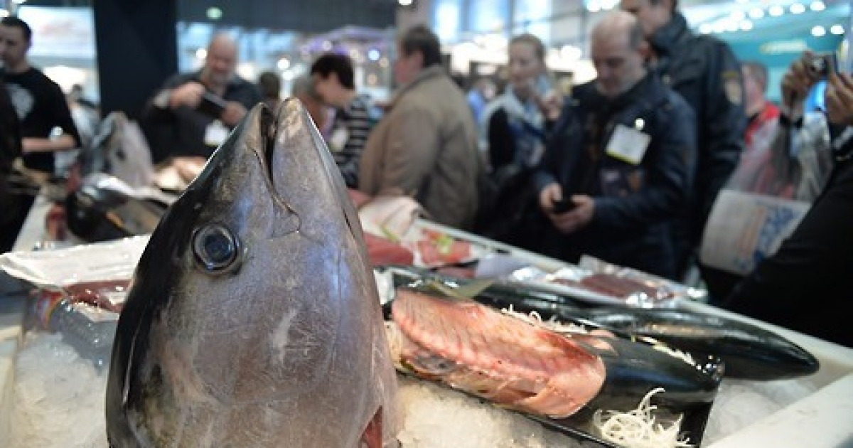 GERMANY FISH FAIR