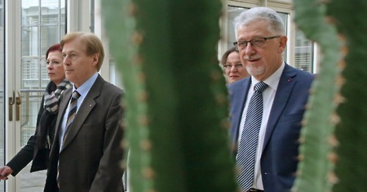 DUESSELDORF COLOGNE NYE ATTACKS