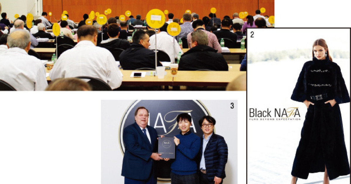 [REPORT] NAFA TOP LOT STORY