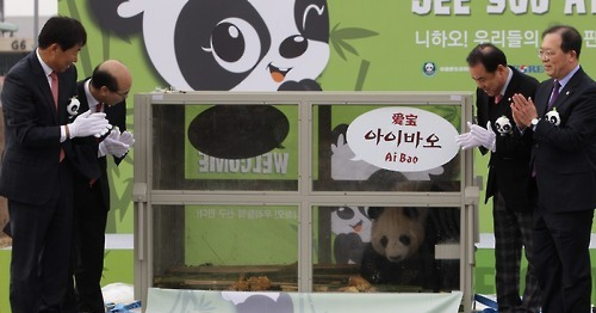 SOUTH KOREA ANIMALS PANDA