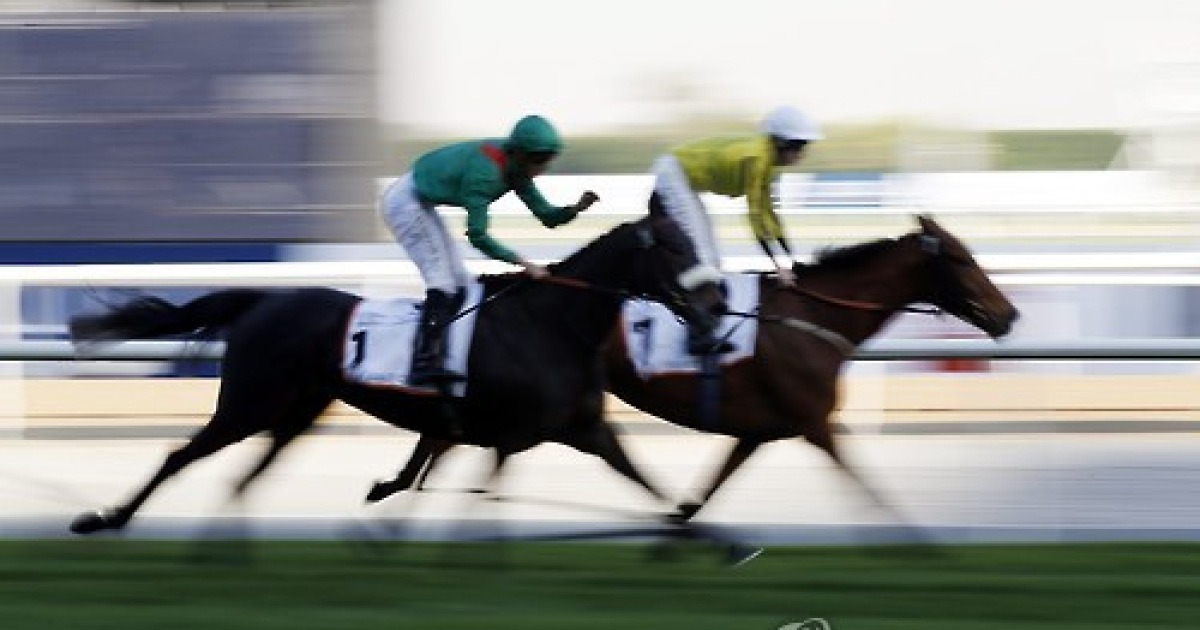 UAE HORSE RACING DUBAI WORLD CUP 2016