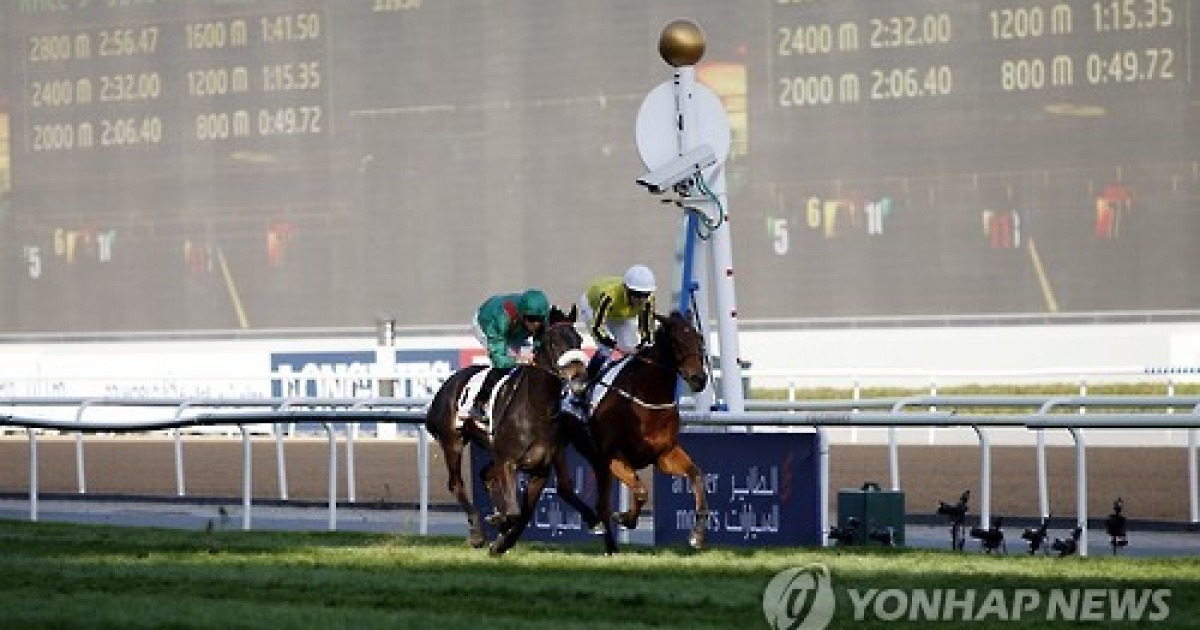 UAE HORSE RACING DUBAI WORLD CUP 2016