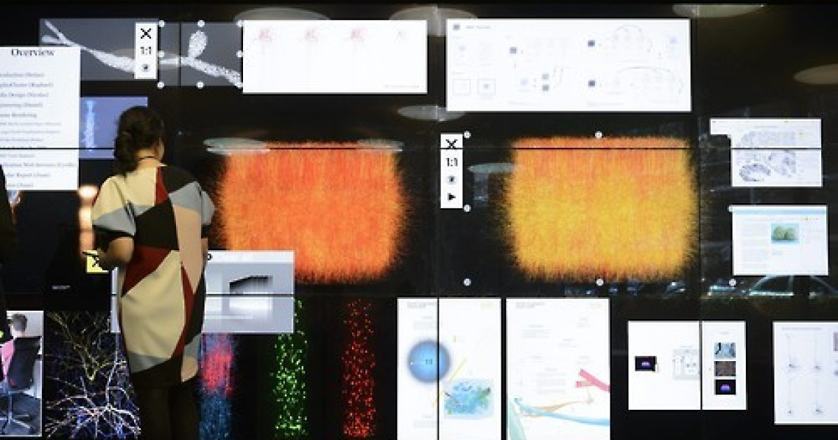 SWITZERLAND SCIENCE EPFL HUMAN BRAIN PROJECT