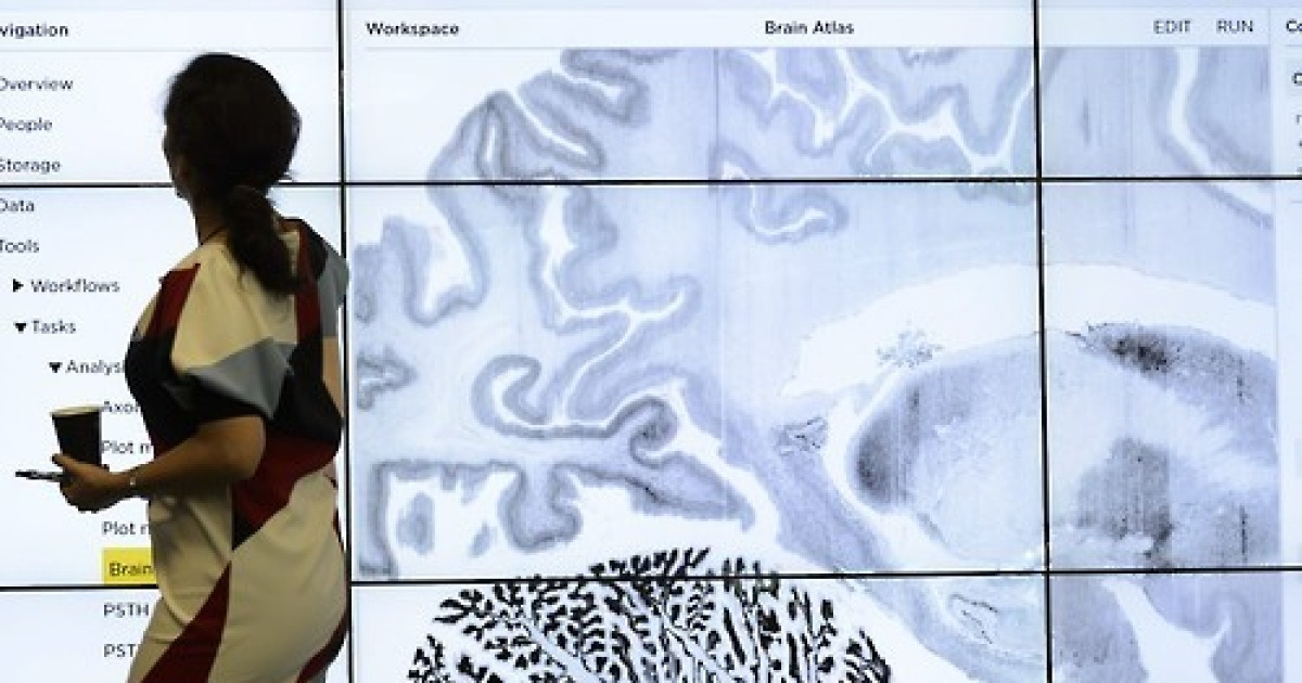 SWITZERLAND SCIENCE EPFL HUMAN BRAIN PROJECT