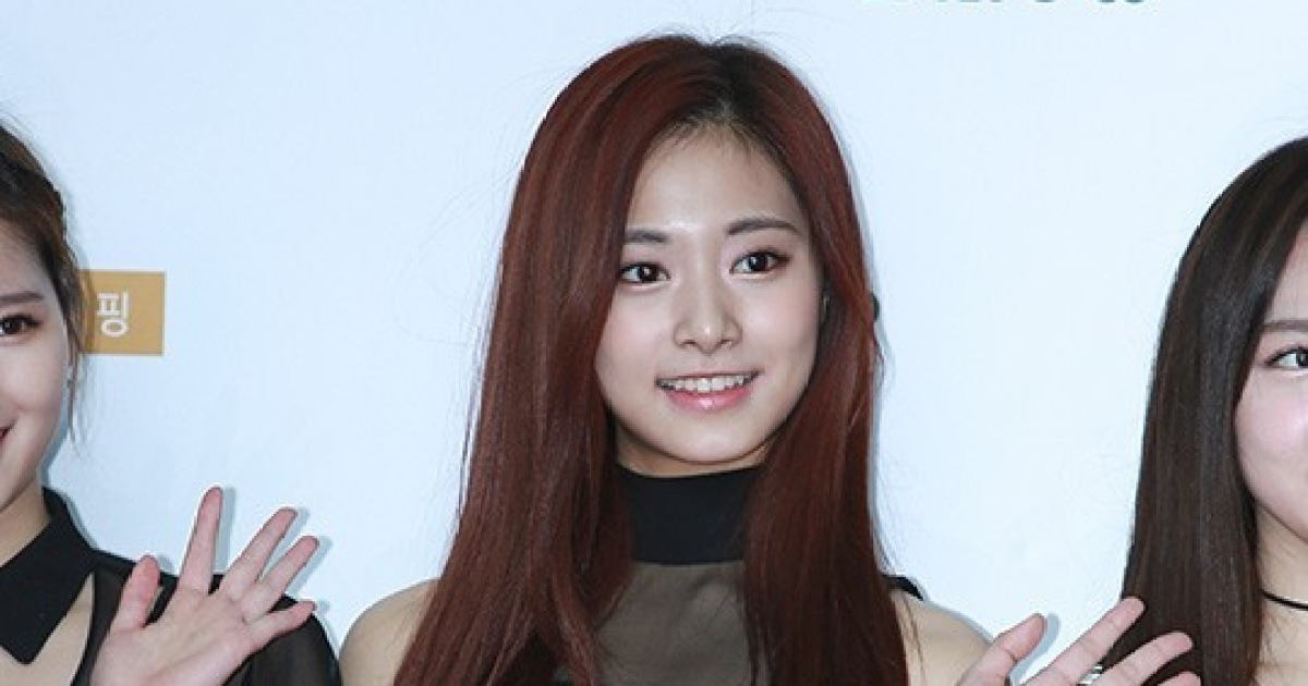 JYP 측 "쯔위 검정고시 합격..국내 고교 진학"