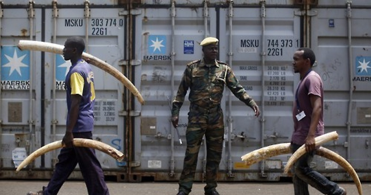 epaselect KENYA IVORY BURNING