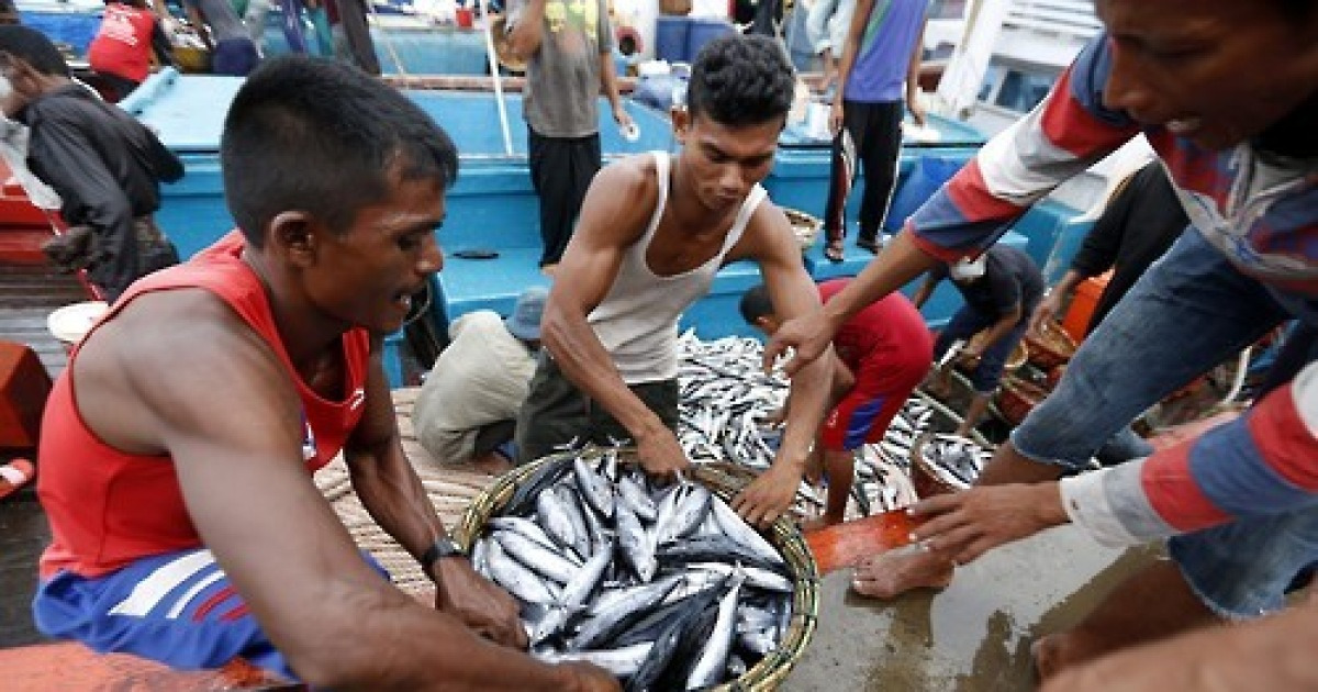 INDONESIA ACEH DUMP FISH