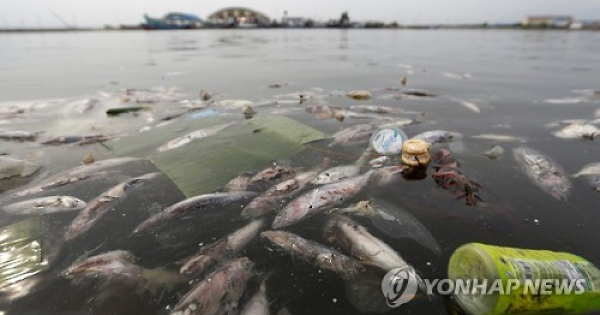 INDONESIA ACEH DUMP FISH