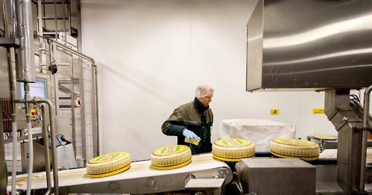 NETHERLANDS ROYAL CHEESE