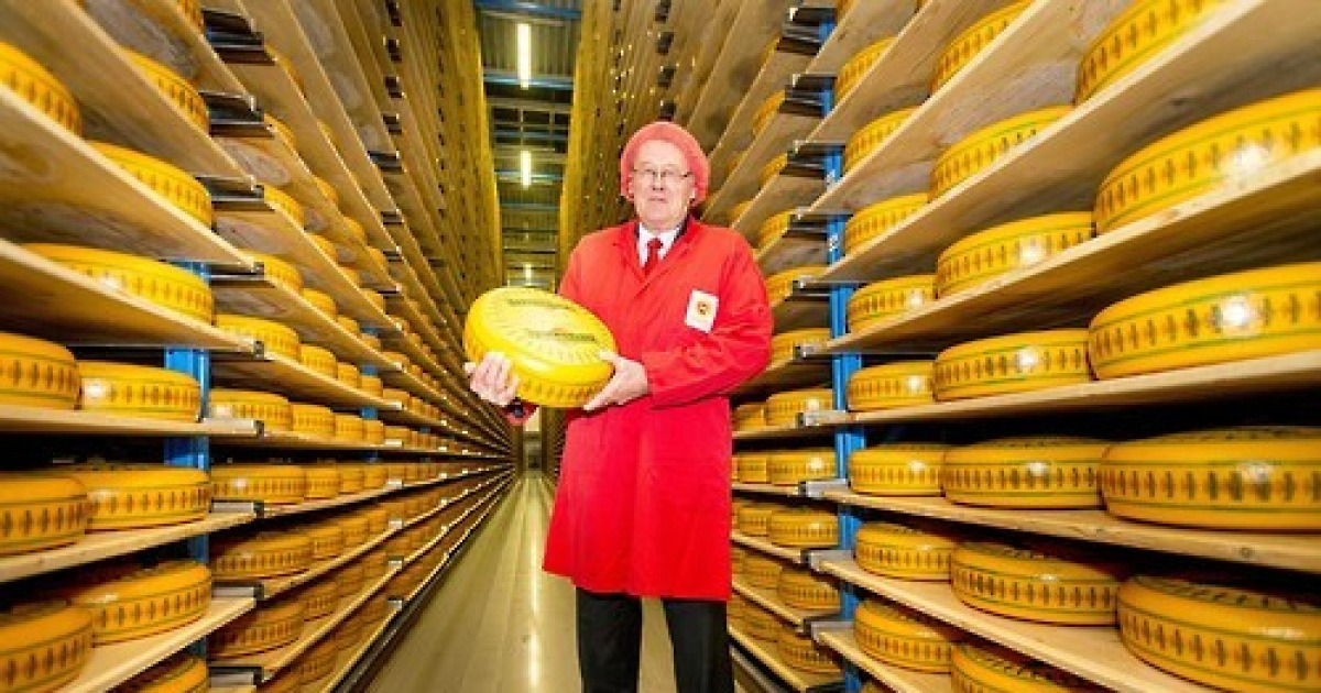 NETHERLANDS ROYAL CHEESE