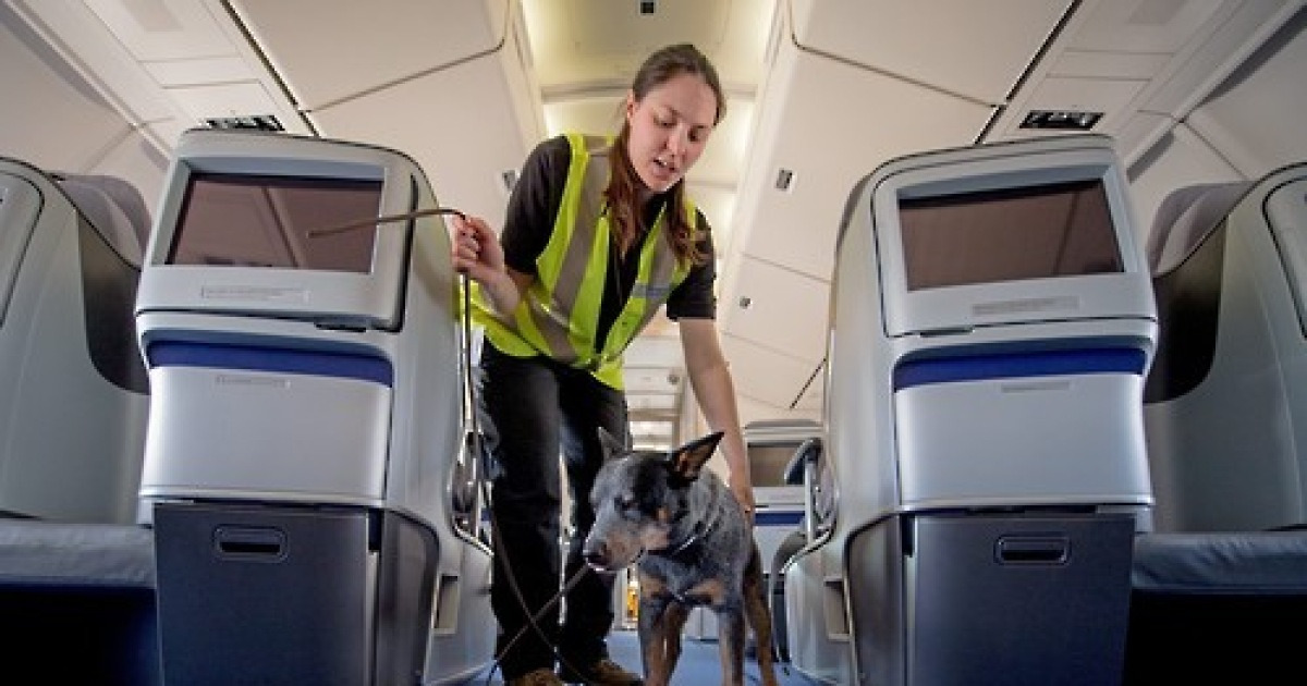 epaselect GERMANY ANIMALS TRACKING DOG