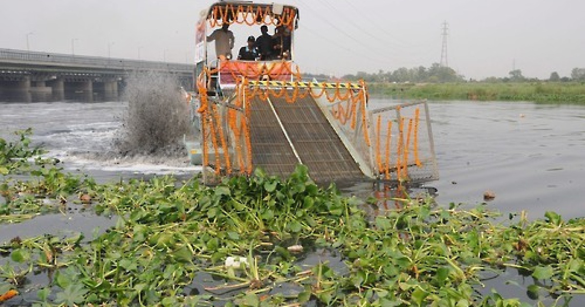 INDIA YAMUNA RIVER CLEANING