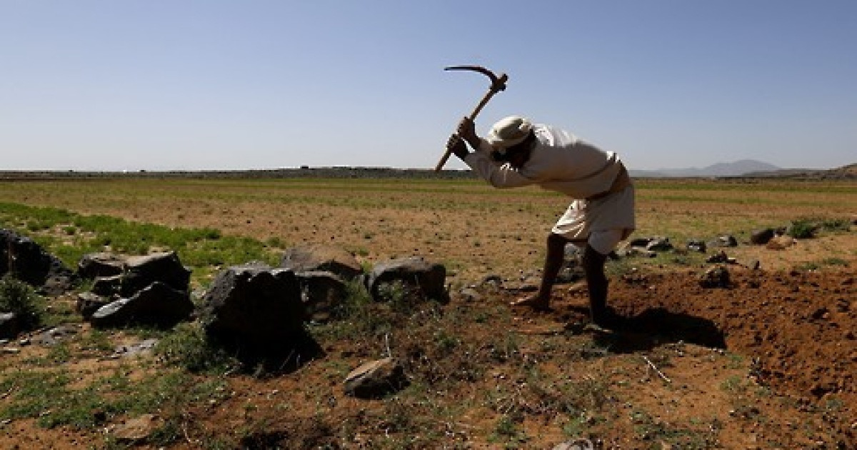 YEMEN CONFLICT FOOD INSECURITY