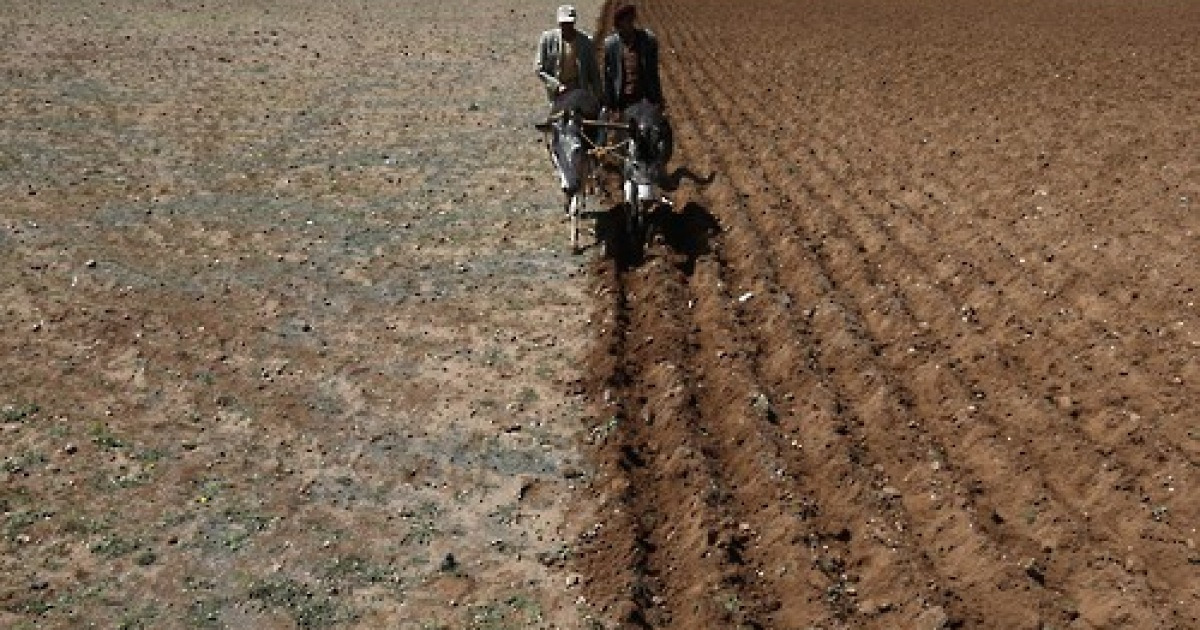 YEMEN CONFLICT FOOD INSECURITY