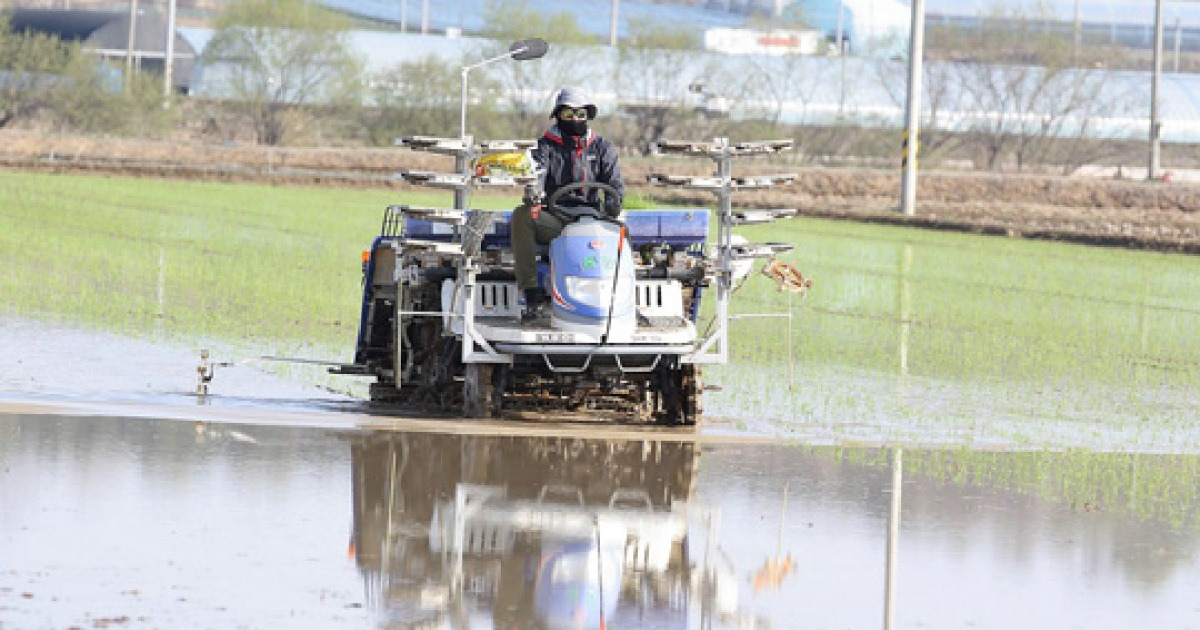 [Exclusive] Leaving the Cities for the Countryside: 50,000 More People ...