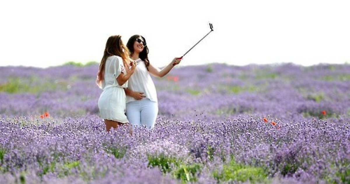 MOLDOVA LAVENDER FESTIVAL