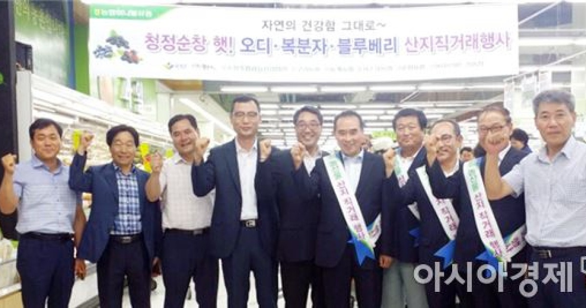 순창군 복분자 오디 블루베리 서울시민 유혹