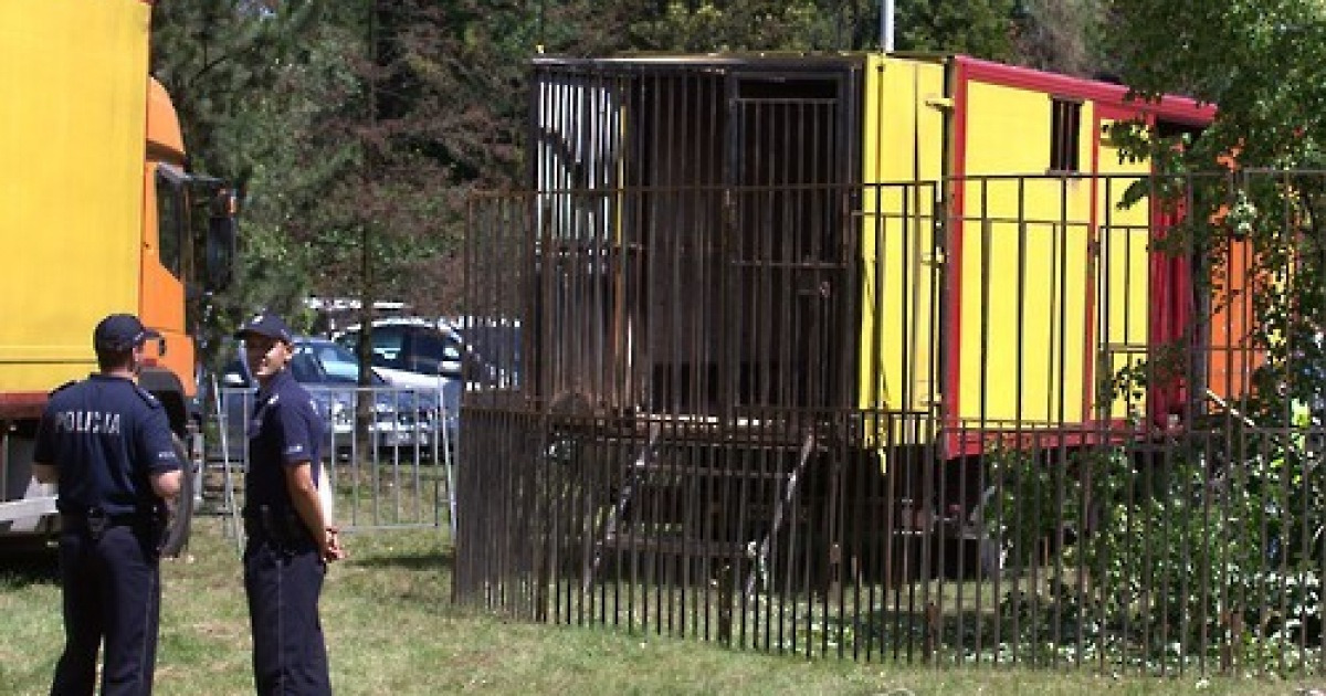 POLAND ANIMALS CIRCUS