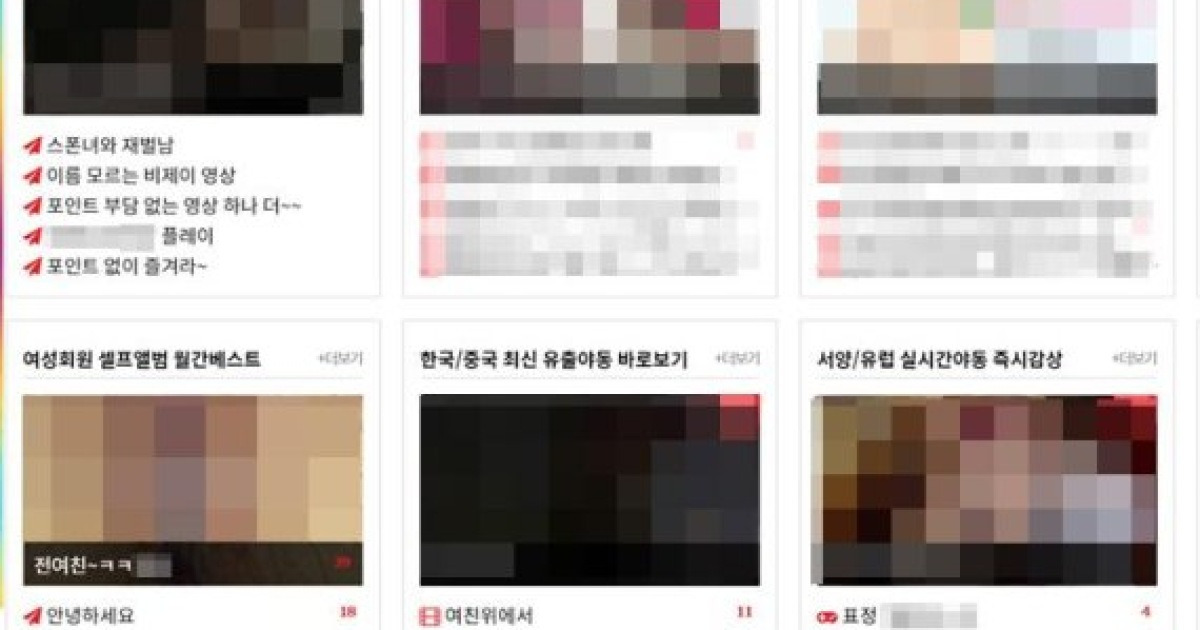 경찰 제 2의 소라넷 유사 음란사이트 6~7개 수사 끝까지 추적