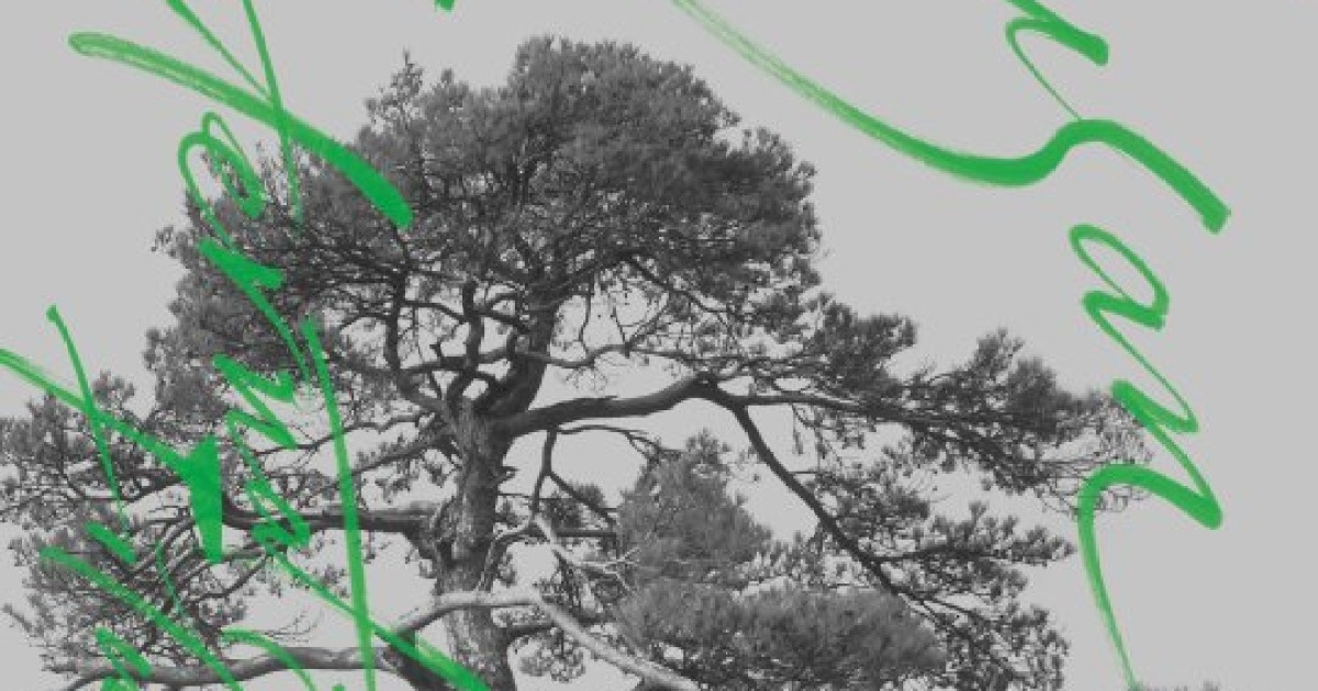 [종합] '21th BIFF' 보이콧 파행 딛고 재도약 할까