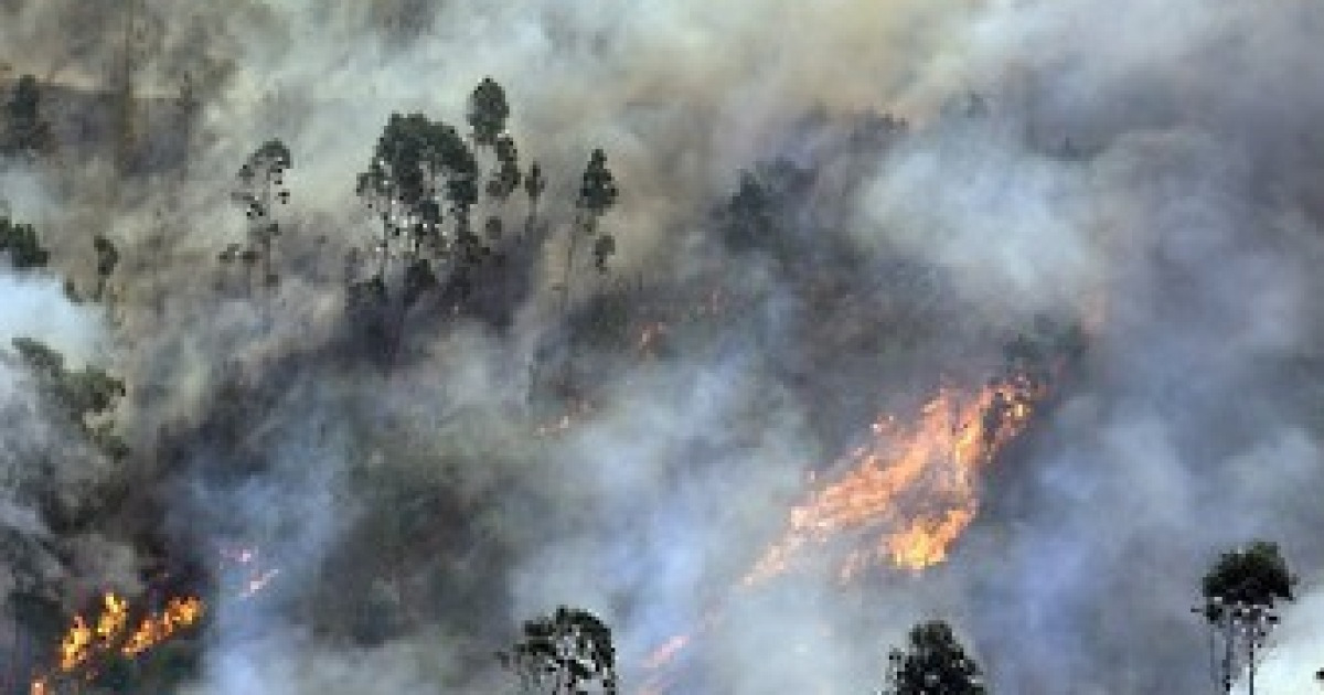 PORTUGAL FIRE