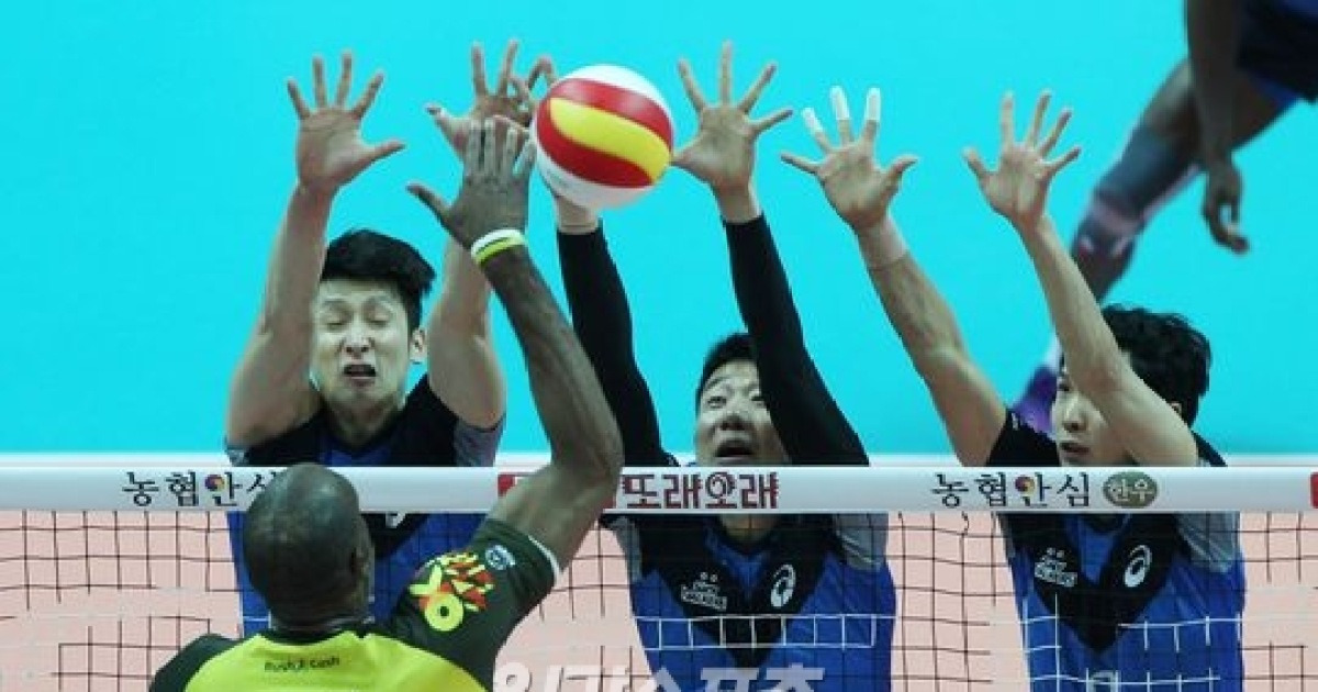 미리보는 V리그' KOVO컵, 눈여겨 볼 세 가지