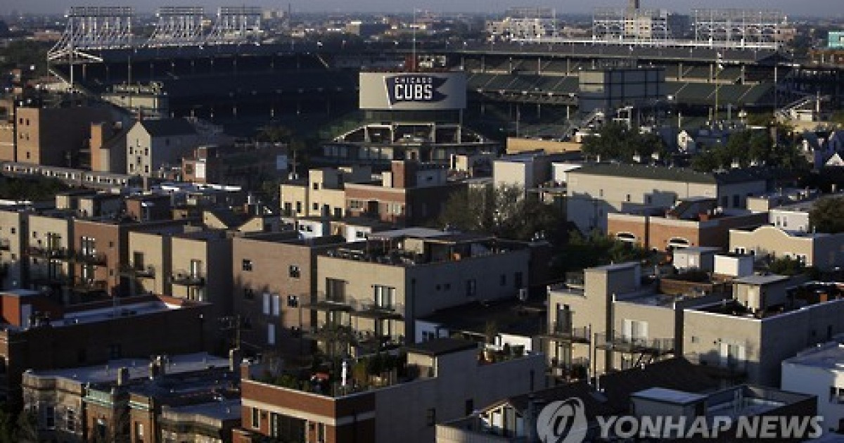 Neighborhood Cubs Baseball