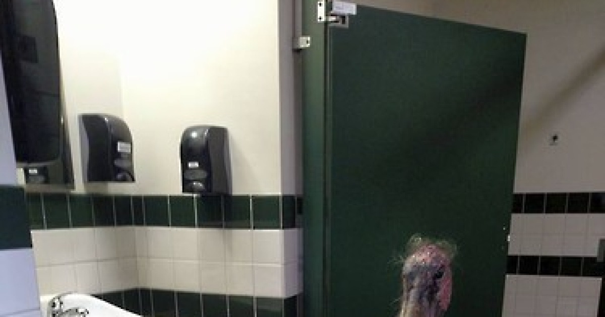 Hurricane Matthew US Stork in Bathroom