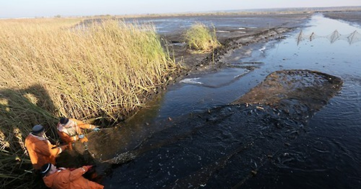 BELARUS ECONOMY FISH FARMING