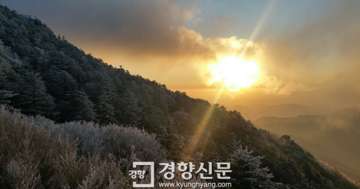 [포토]지리산 장터목대피소에 핀 상고대