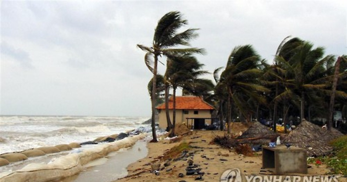 Electricity resumed in disaster-stricken provinces