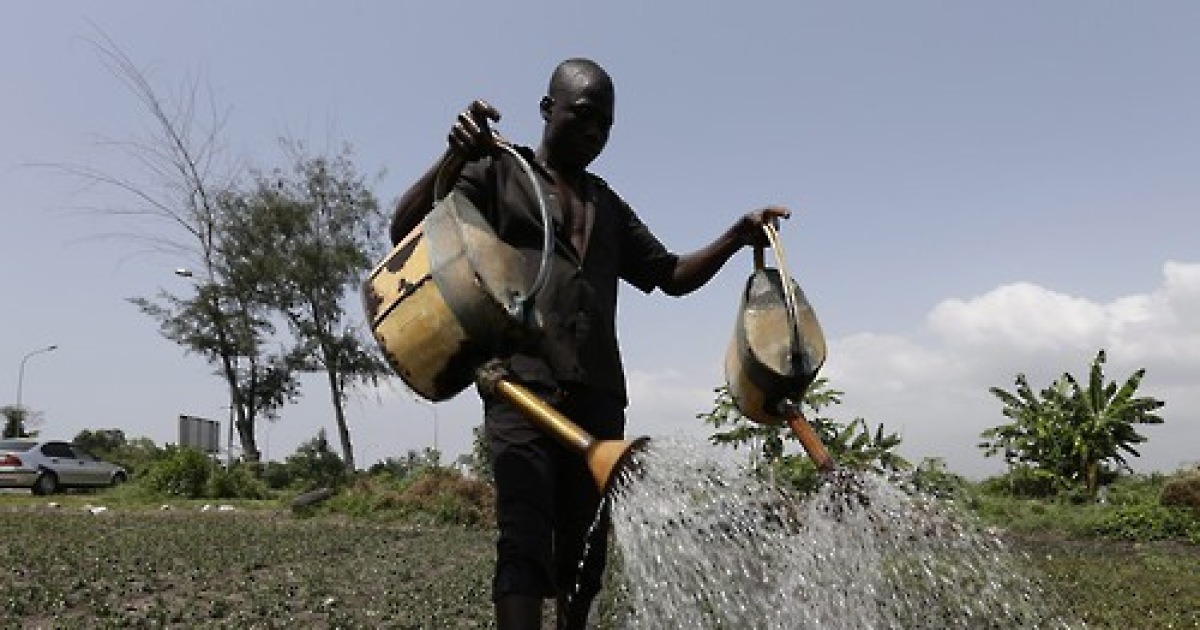 IVORY COAST AGRICULTURE