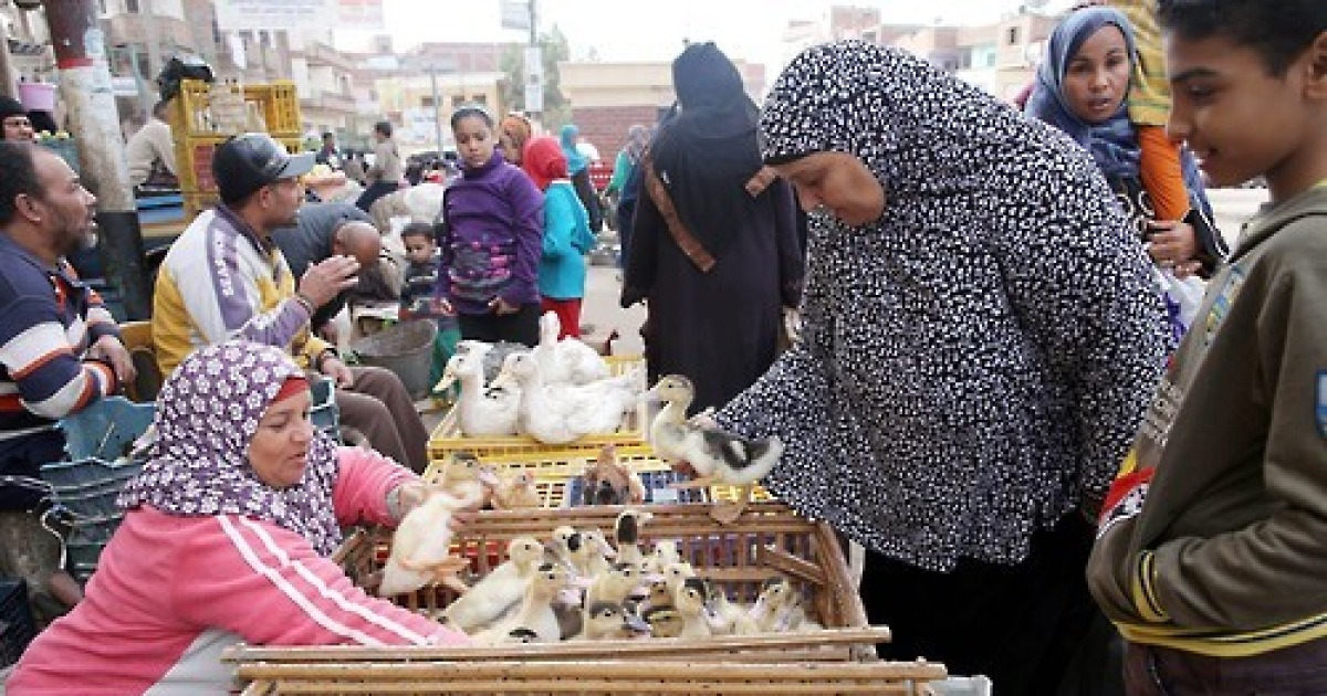 EGYPT CONSUMER GOOODS